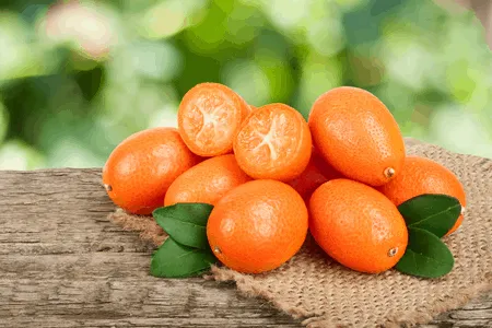 Random Fruit Generator 🍌🍎🍇